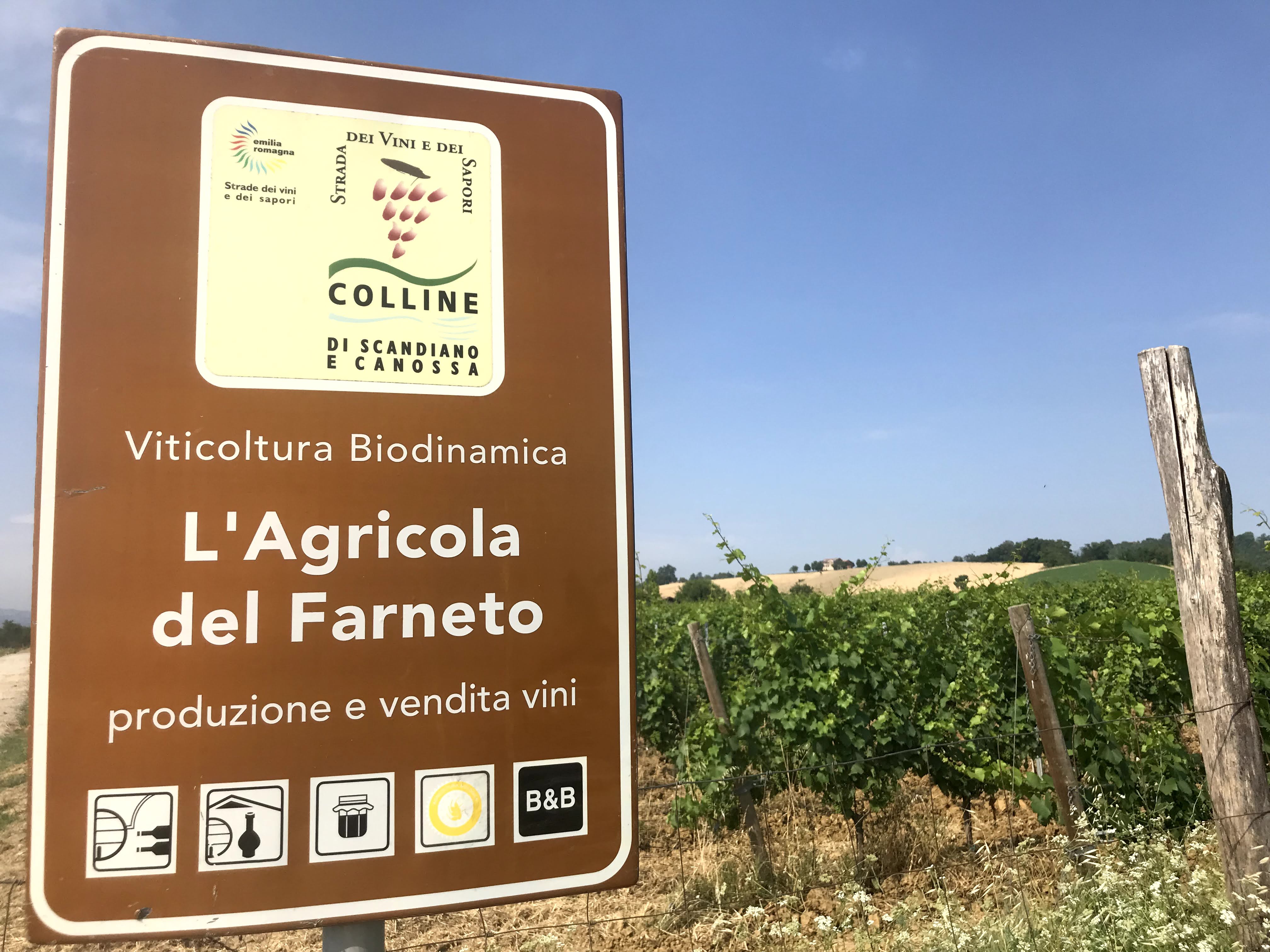 Il farneto – Ovino.be